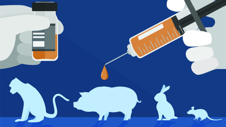 How to reduce animal testing without compromising chemical safety